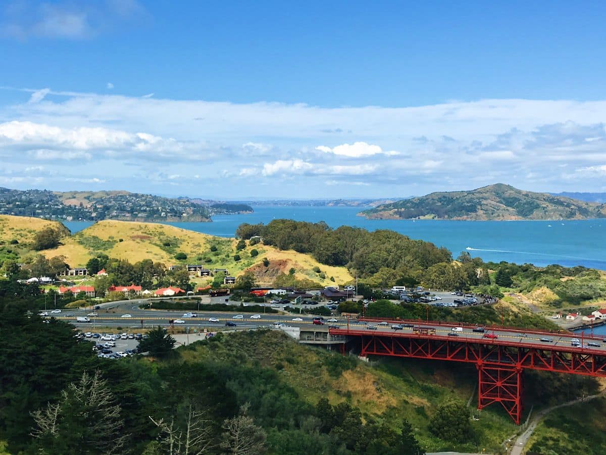 The Ultimate (Updated) Guide to Muir Woods - Local Getaways California