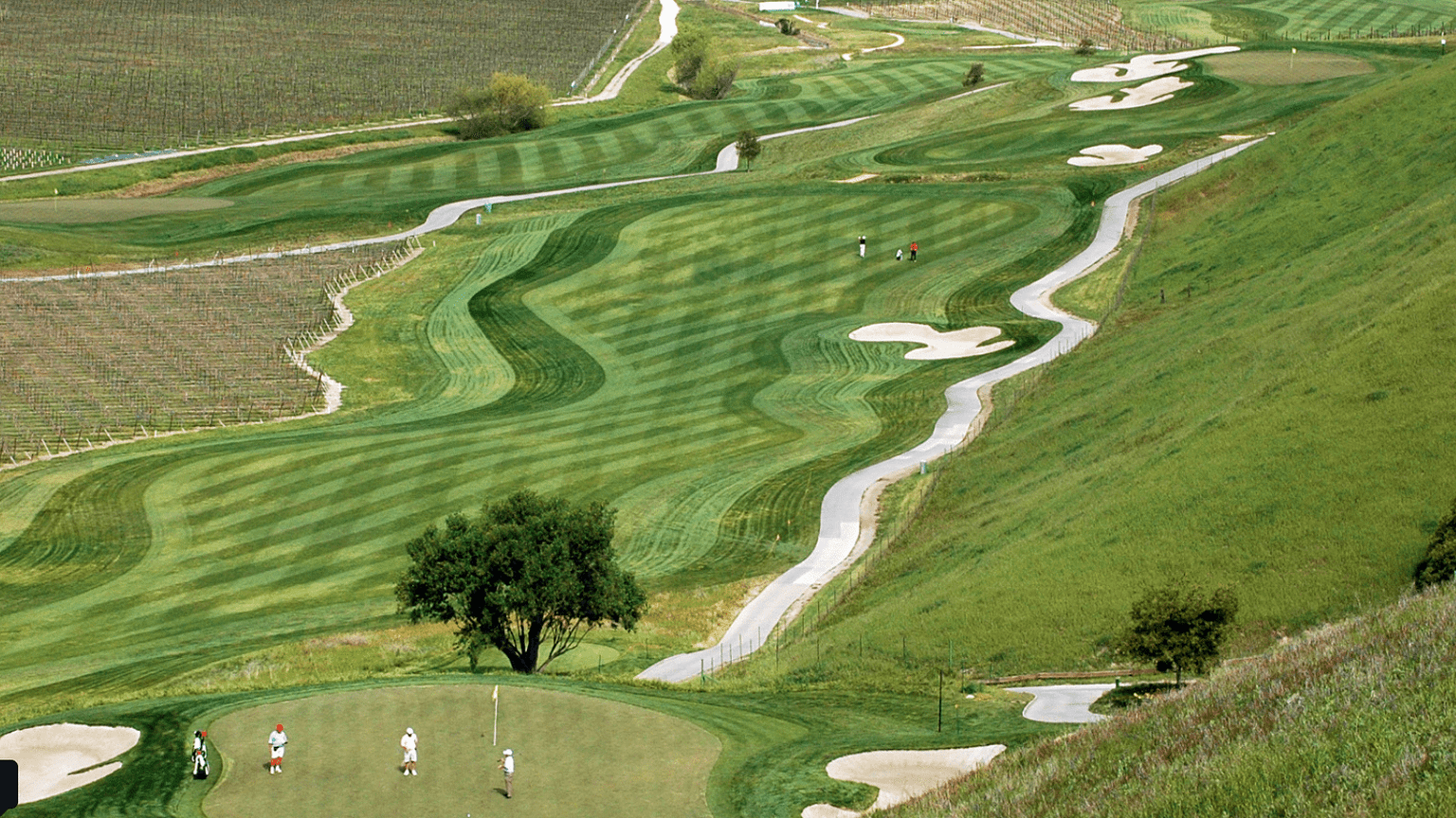 The Best Golf Courses in the East Bay - Local Getaways California