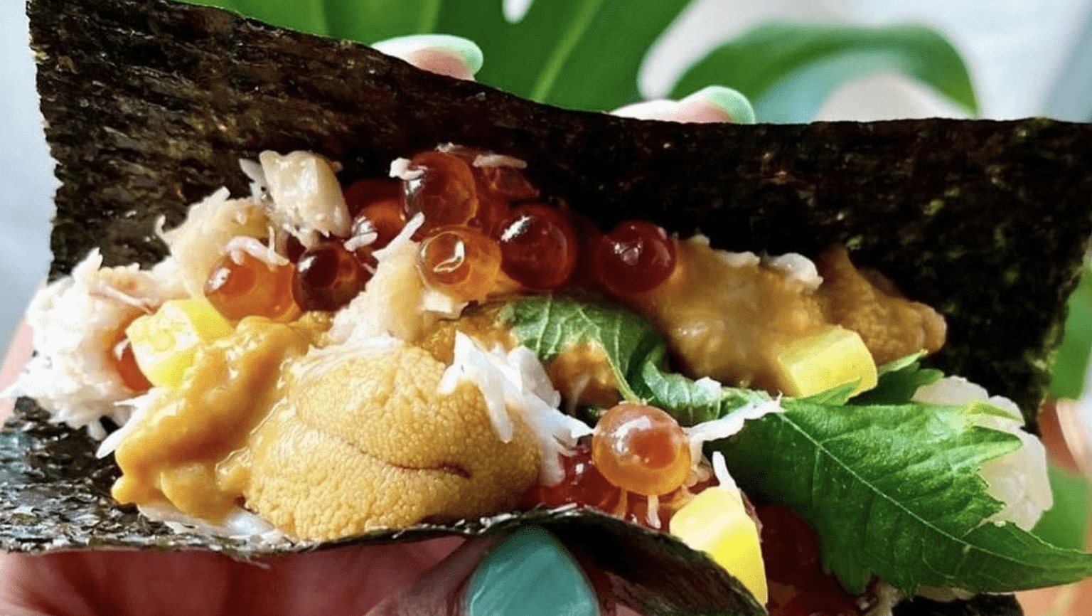 Best Sushi in San Francisco - Local Getaways California