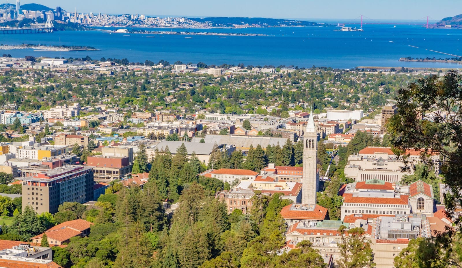 Berkeley: The Jewel of the Bay Area - Local Getaways California