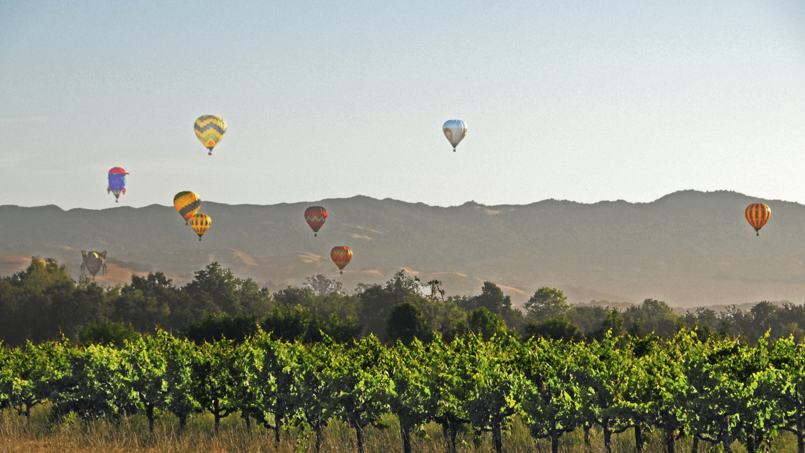 Best Things to Do in Sonoma County This September - Local Getaways ...