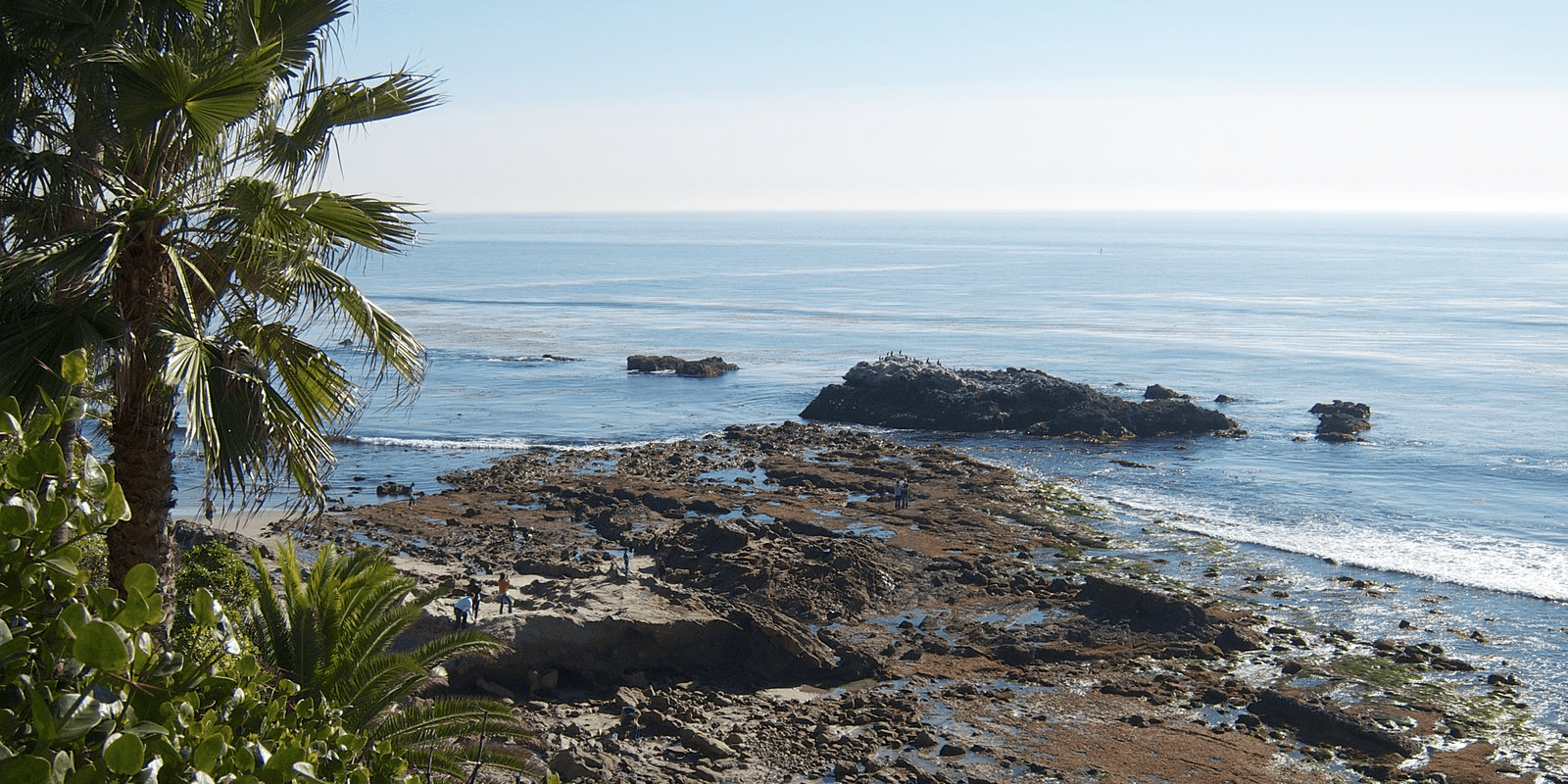 Best Places to Scuba Dive in Southern California - Local Getaways ...