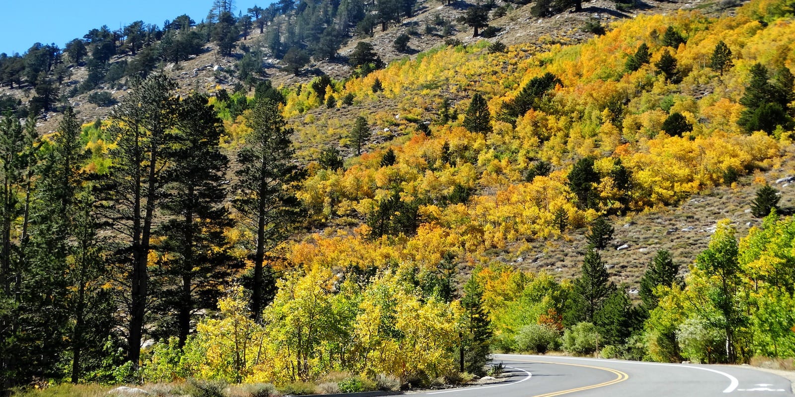 Road Tripping through California’s Fall Foliage - Local Getaways California