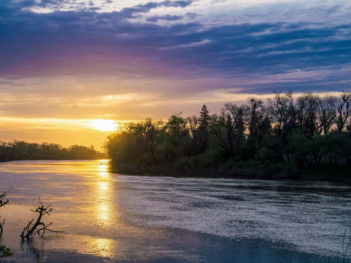 The Ultimate Guide to Sacramento - Local Getaways California